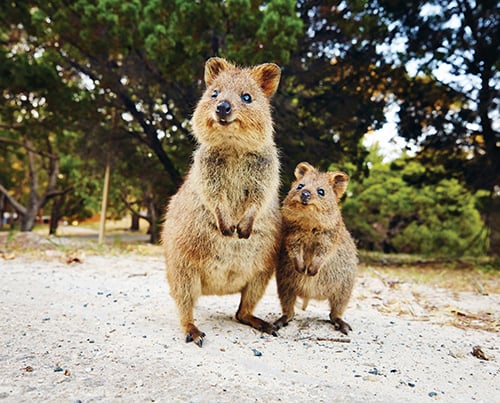 Perth - Garuda Indonesia