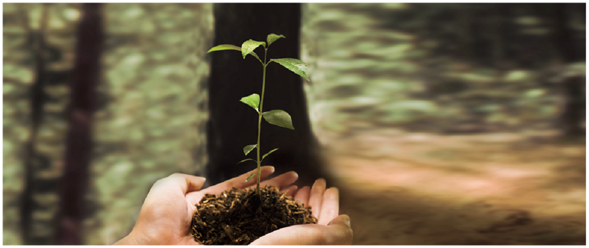 Garuda Indonesia Green Efforts - Garuda Indonesia